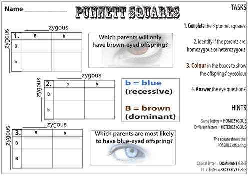 Inheritance & Genetics (Punnet Squares & Pedigree Diagrams) | Teaching ...