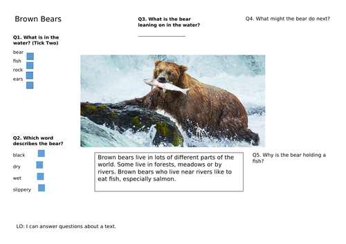 Year 1 Reading Comp Bears | Teaching Resources