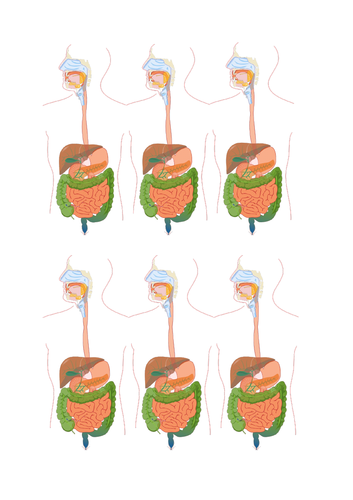 Food and digestion KS3 SCIENCE | Teaching Resources