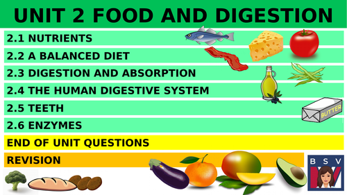 Food and digestion KS3 SCIENCE | Teaching Resources