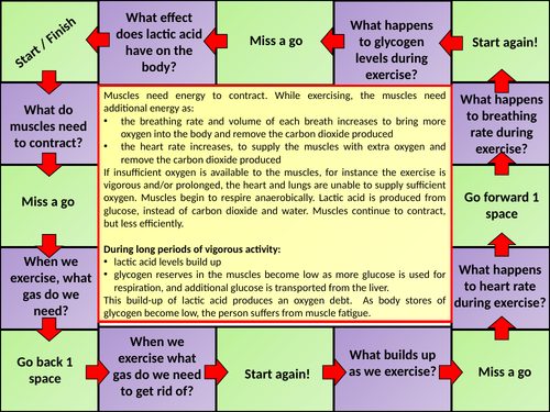 KS4 AQA GCSE Biology (Science) Effects of Exercise Lesson | Teaching ...