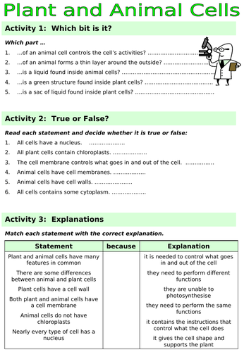 Plant & Animal Cells | Teaching Resources