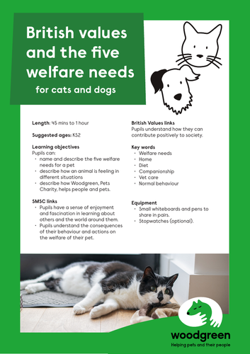 What Are The Five Welfare Needs Of Dogs