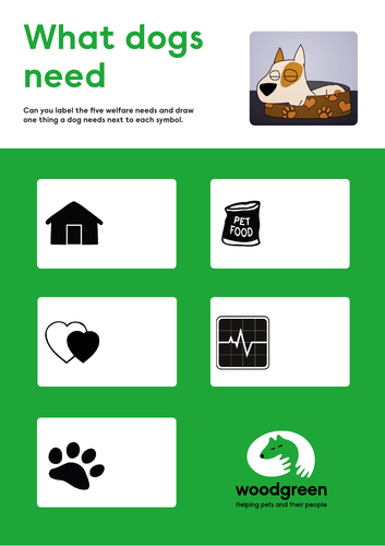 What Are The Five Welfare Needs Of Dogs
