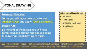 TONAL FISH DRAWING | Teaching Resources