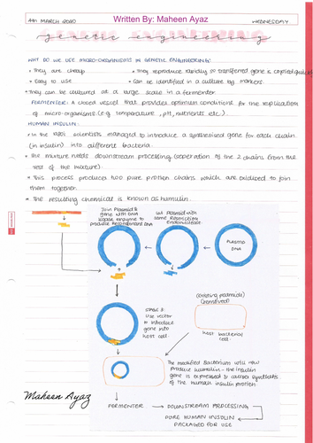 Genetic Engineering | Teaching Resources