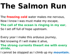 Descriptive Story Poetry (3 week unit) based on the book "A River' by ...