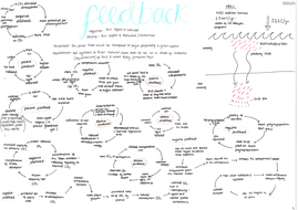 A Level Geography- Feedback cycles | Teaching Resources