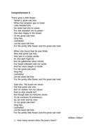 11 Plus Comprehension Tests | Teaching Resources