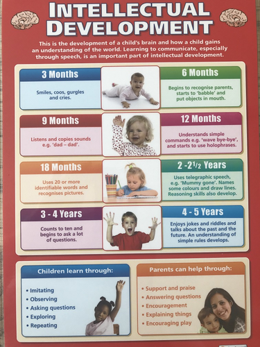 BTEC Tech Award HSC Component 1 Early childhood PIES development ...