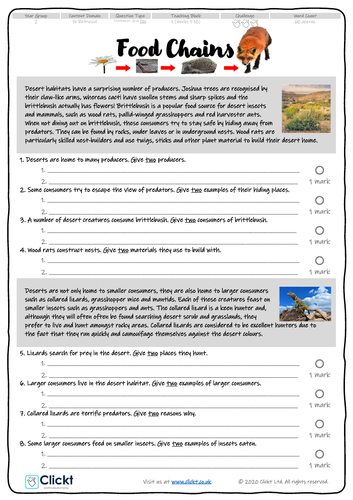 Year 2 Reading Comprehension (NON-FICTION): Science: Food Chains ...