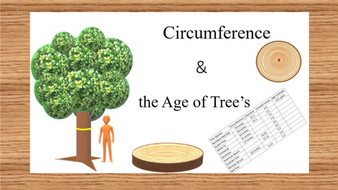 Circumference and the Age of Trees Powerpoint | Teaching Resources