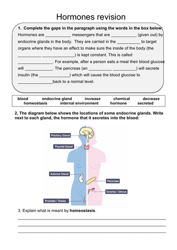 Edexcel Biology revision worksheets (T7 - Animal coordination, control ...