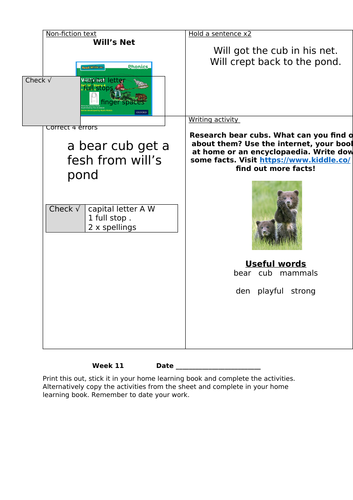 RWI Green books story 10 activity sheets | Teaching Resources
