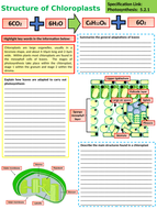 A Level Biology Chloroplast Structure Lesson & Activities | Teaching ...