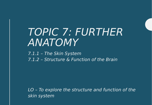 IB SEHS - Topic 7 - Further Anatomy (HL) | Teaching Resources
