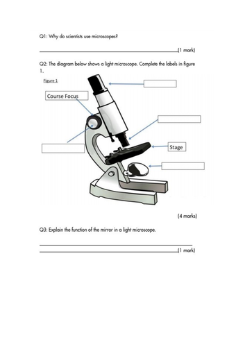 Microscopes | Teaching Resources