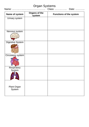 All Systems Go (Levels of Organisation) | Teaching Resources