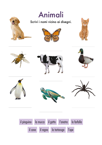 Gli Animali Italian Worksheet | Teaching Resources