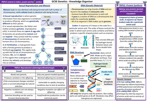 GCSE Edexcel Genetics KO | Teaching Resources