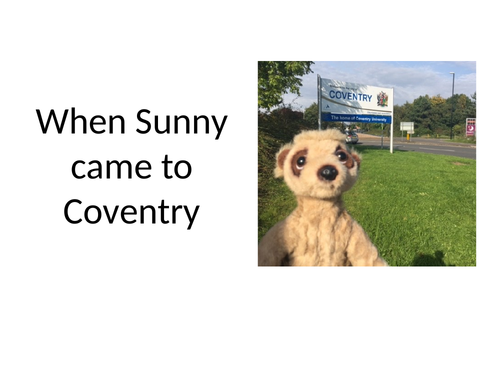 Letter Writing English Unit for Year 2 based on Meerkat Mail | Teaching ...