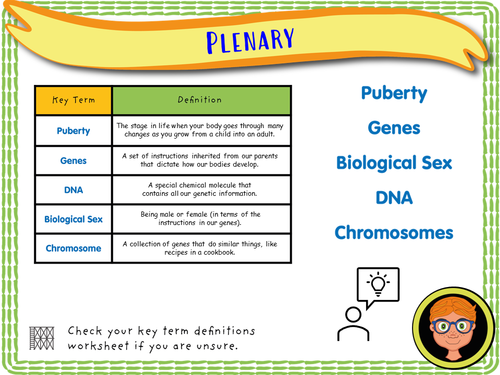 Puberty And Biological Sex Teaching Resources