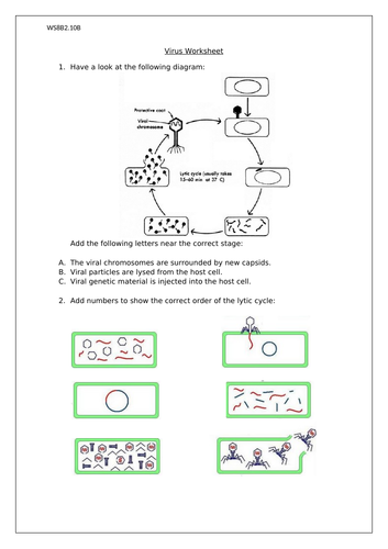 Viral and Protist diseases | Teaching Resources