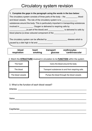 Edexcel Biology revision worksheets (T8 - Exchange and transport in ...