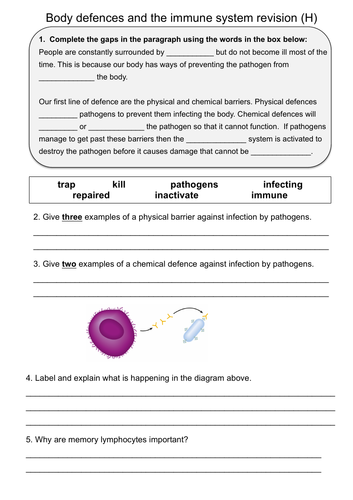 Edexcel Biology revision worksheets (T5 - Health and disease ...