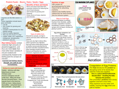 Knowledge Organisers GCSE Food and Nutrition | Teaching Resources