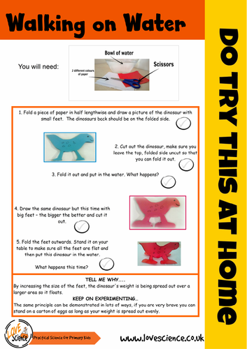 Surface area and floating experiment for primary science. | Teaching ...