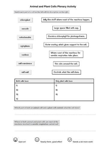 KS3 Organisms : Cells : Lesson 1 : Animal and Plant Cells | Teaching ...
