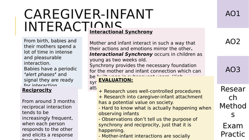 AQA Psychology Attachment Revision Lessons | Teaching Resources