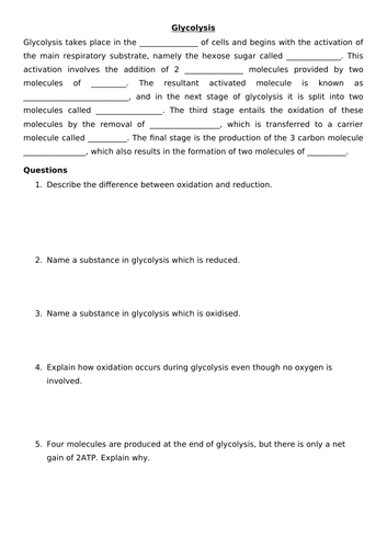 Glycolysis Worksheet and Answers | Teaching Resources