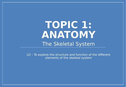 IB SEHS Topic 1 Anatomy Skeletal System | Teaching Resources
