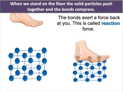 Squashing and Stretching | Teaching Resources