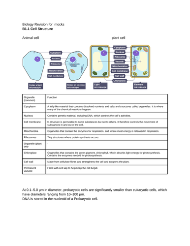 Complete GCSE Triple Science Notes (All Grade 9s) | Teaching Resources
