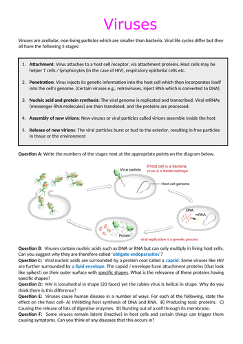 Cells - A complete set of resources for AQA AS/A-Level Biology ...