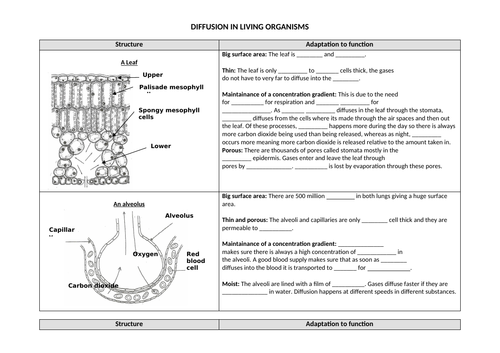 Cells - A complete set of resources for AQA AS/A-Level Biology ...