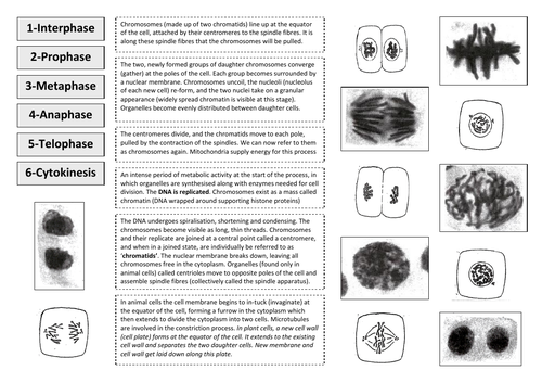 Cells - A complete set of resources for AQA AS/A-Level Biology ...