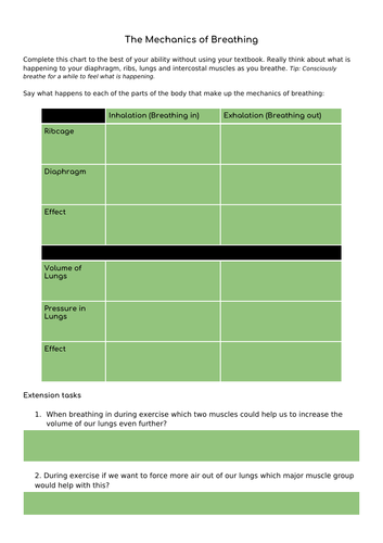 Mechanics of Breathing | GCSE PE | Worksheet and Fast Five | Teaching ...