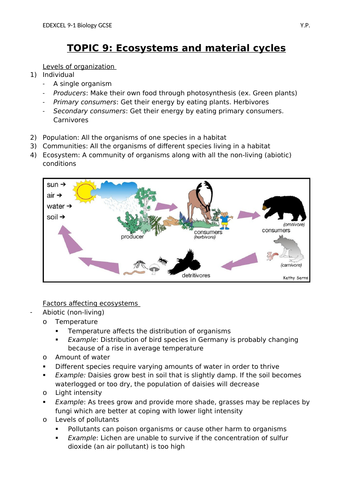 EDEXCEL BIOLOGY 9-1 GCSE TOPICS 1-9 NOTES BUNDLE YP | Teaching Resources