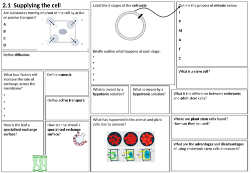 Revision learning mats-GCSE Biology (OCR Gateway) Scaling Up | Teaching Resources