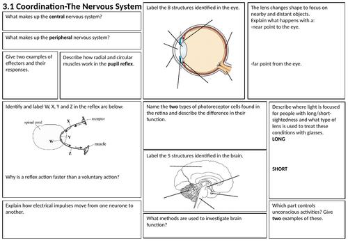Revision learning mats-GCSE Biology (OCR Gateway) Organism Level Systems | Teaching Resources