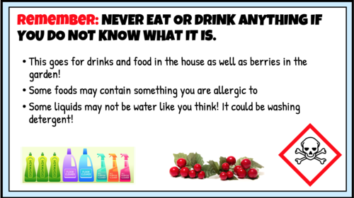 Household Dangers - Staying Safe | Teaching Resources
