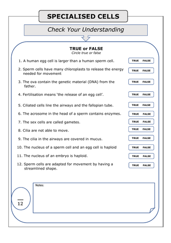 Specialised Cells | Teaching Resources