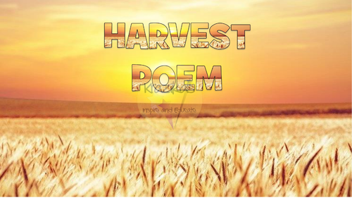 Harvest Festival Poem | Teaching Resources