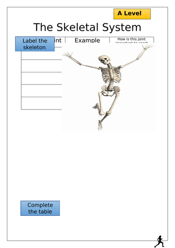 The Skeletal System - A Level PE | Teaching Resources