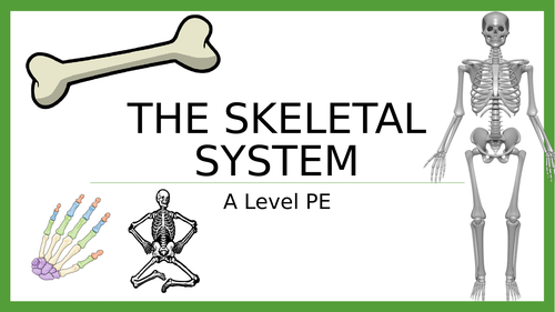 The Skeletal System - A Level PE | Teaching Resources