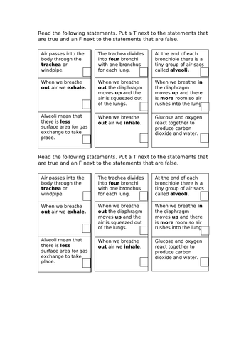 Year 7 Body Systems - Ppt and worksheets | Teaching Resources